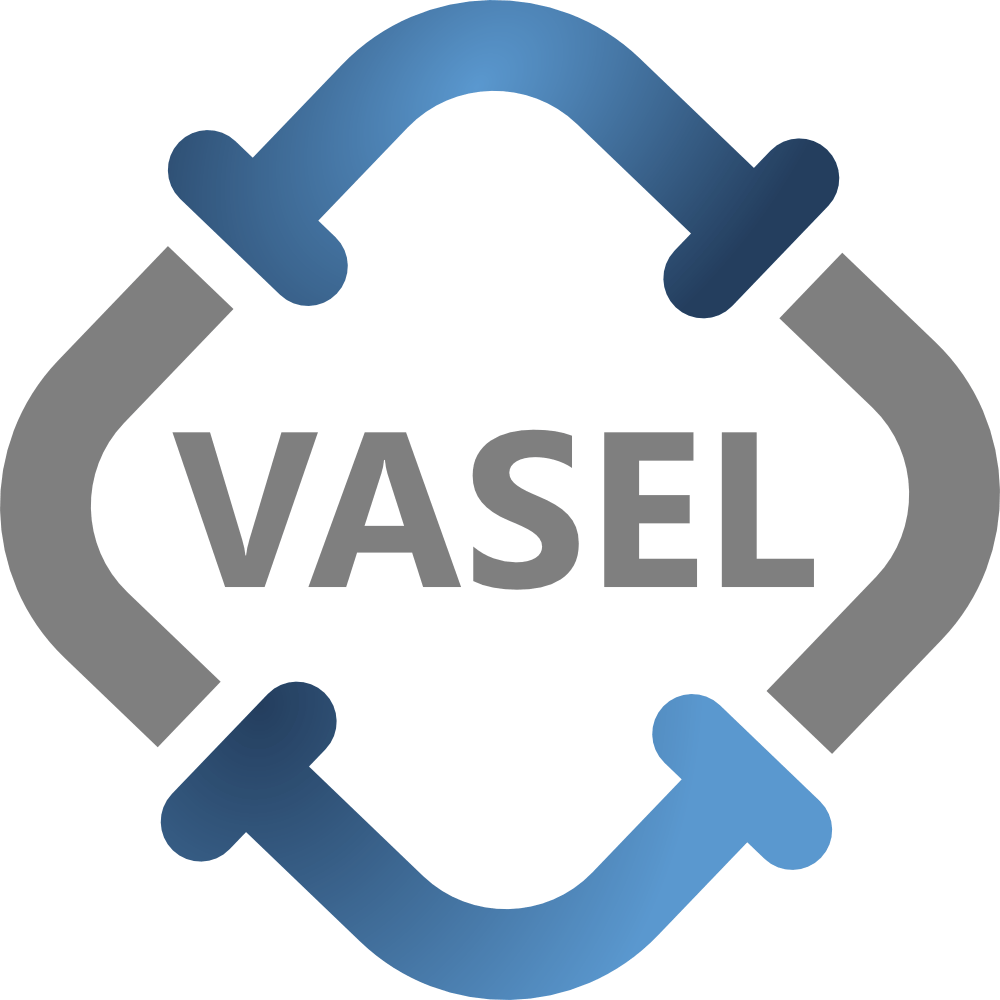 ZN VASEL SL